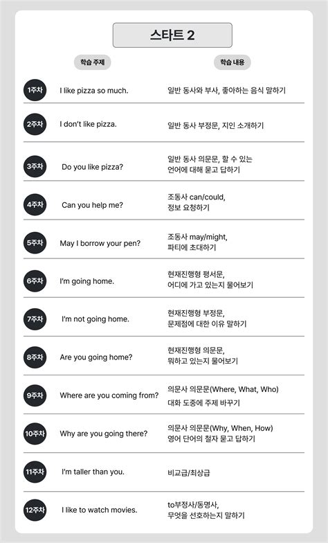 마이라이트 영어 드림팩