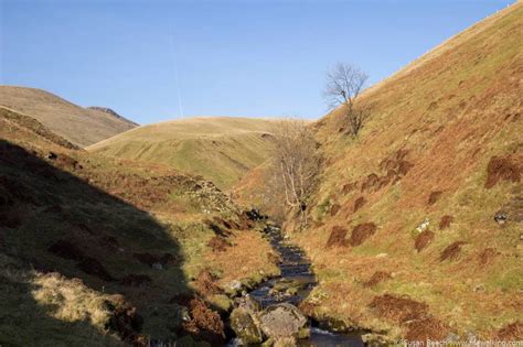 Photo Gallery Western Ochils Fife Walking