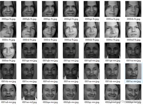 Pytorch中cmap参数有什么 Pytorch Pcaflyingsmiling的技术博客51cto博客