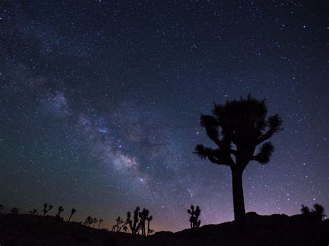 Joshua Tree Night Wallpapers 4k Hd Backgrounds On Wallpaperbat