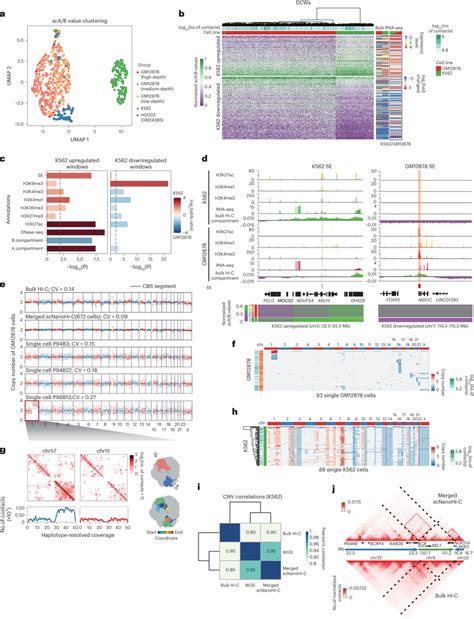 Detection Of Cell Type Specific Chromatin Structures And Genomic Download Scientific Diagram