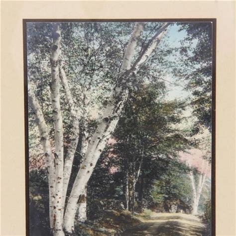 Lot Three Hand Colored Photographs Two Wallace Nuttings Purity Grace And An Orchard In