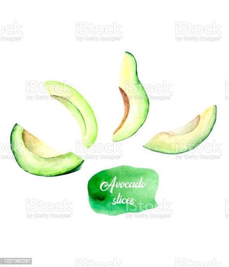 흰색 배경에 고립 된 녹색 아보카도의 육즙 조각 음식 요리 및 비타민의 이점을 테마로 한 디자인용 녹색 채소의 수채화 그림 건강한 식생활에 대한 스톡 벡터 아트 및 기타
