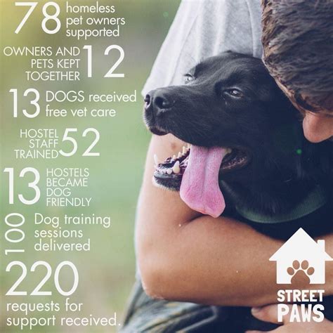 Street Paws On Linkedin Its Been A Busy Year And Unfortunately The