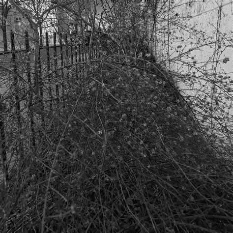 Computational Design In Grasshopper By Danil Nagy Generative Design Medium