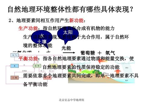 高中地理必修一自然地理环境的整体性 Word文档在线阅读与下载 无忧文档