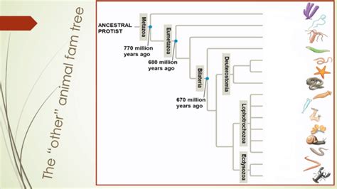 Ap Bio Quiz Diagram Quizlet