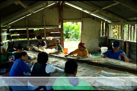 How To Make Tongan Tapa Cloth Ngatu Tonga Time