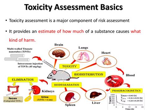 Evaluation Of Toxicitypptx Cancer Diseases And Conditions