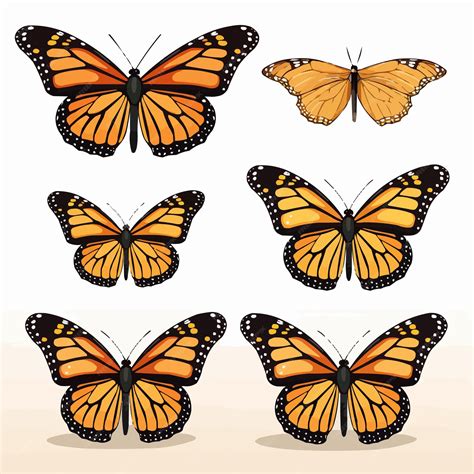 바둑 나비 설정 벡터 일러스트 레이 션 흰색 배경에 고립 프리미엄 Ai 생성 벡터