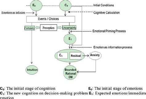The Hybrid Process Decision Making Model Of Emotion And Cognition Under