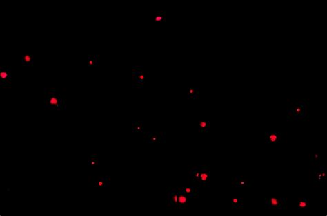 µalgae Augmented Dataset Object Detection Dataset By Segmentationcells