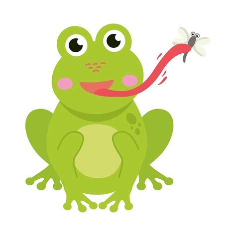 Premium Vector Frog Eating Fly Illustration