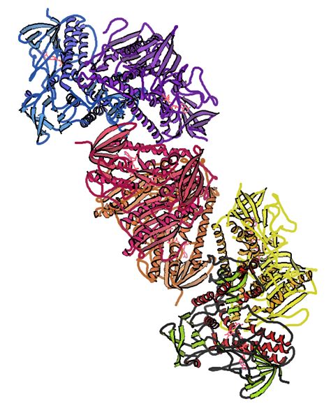 Thioredoxin Disulfide Reductase Thioredoxin Reductase Nadph