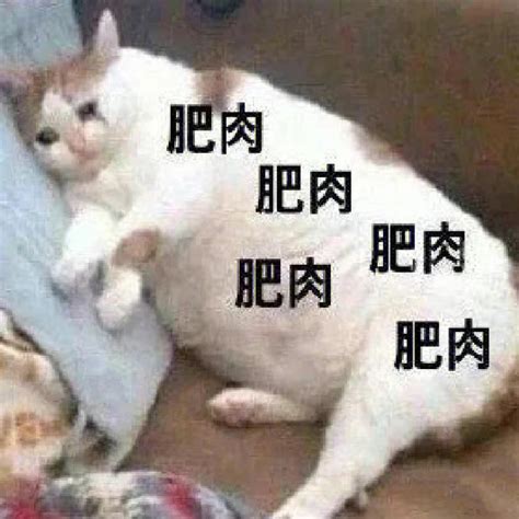 使用频率较高的表情包 财经头条
