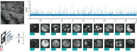 논문 리뷰 Self Attention Based Contextual Modulation Improves Neural System Identification