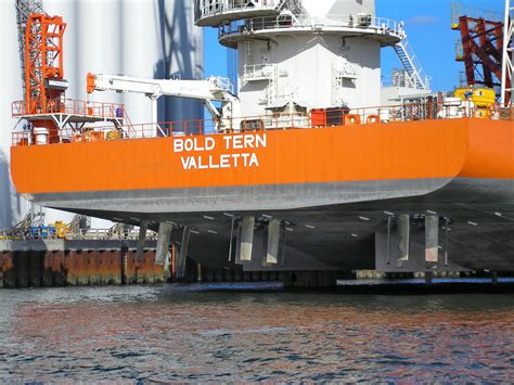 Bold Tern фотографии судов