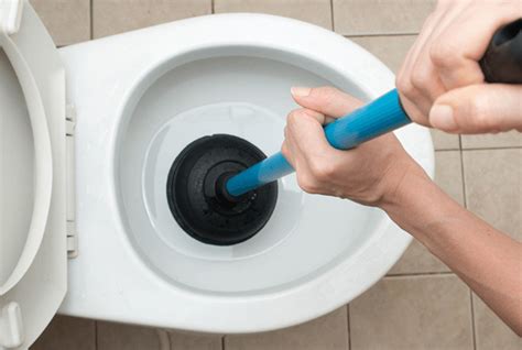 Why Does My Toilet Not Flush Properly Plumbguide Australia