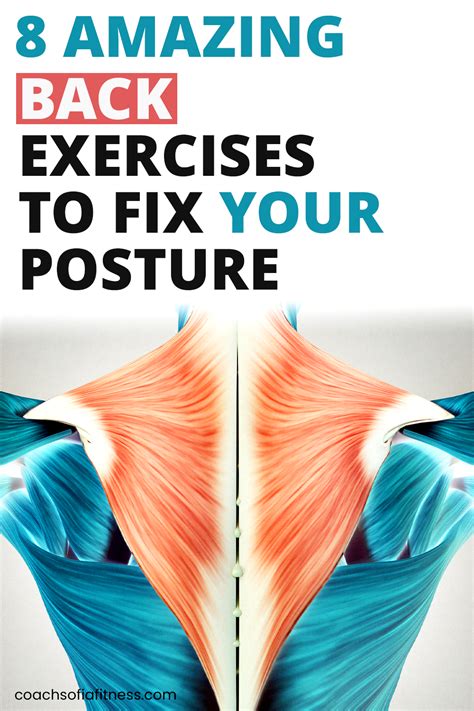 8 Amazing Back Exercises To Fix Bad Posture Exercises To Help Posture