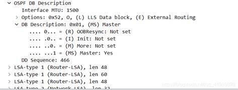 抓包 wireshark 详细分析ospf状态运行机制 wireshark抓包分析ospf csdn博客