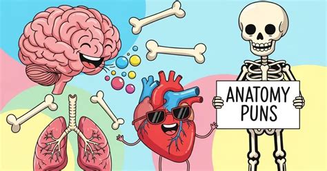 Anatomy Puns So Funny They Get Under Your Skin 2026