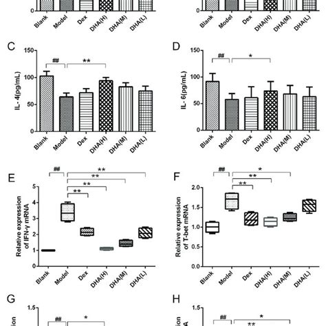 Schematic Illustrating Adrenergic Receptor Signaling Ligand Binding To