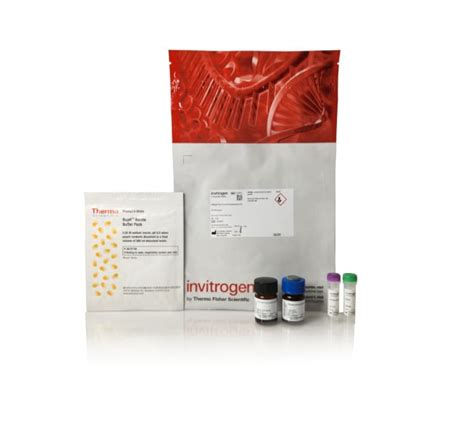 Invitrogen Cbqca Plus Protein Quantitation Kit 1 Kit Buy Online