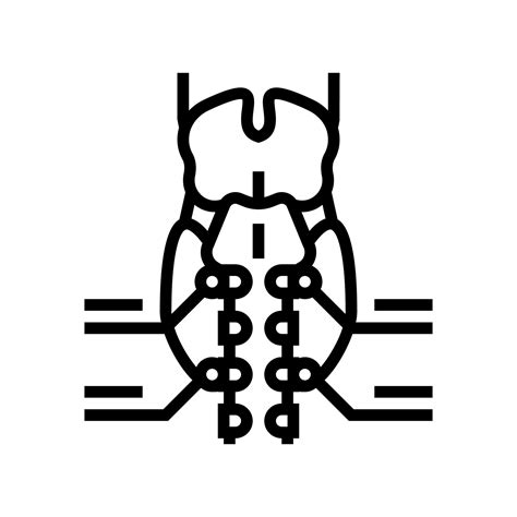 Parathyroid Gland Endocrinology Line Icon Vector Illustration 10300013