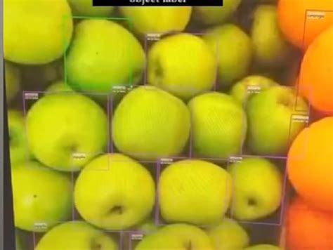 Annotate Images With Precision For Ai And Machine Learning By Bonda Sn38 Fiverr