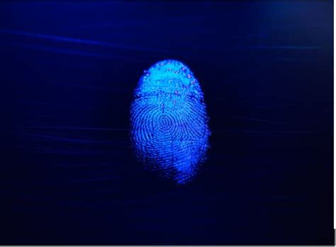What Is A Reliable Biometric Solution Technewztop