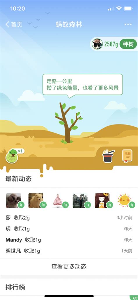 蚂蚁森林成长阶段图片 树的成长阶段图 成长阶段 大山谷图库