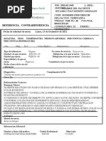 Formato De Referencia Y Contrarreferencia Imss Pdf