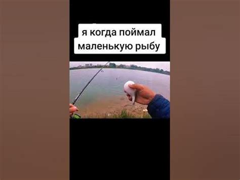 🤣😂самый лучший рыбак - YouTube
