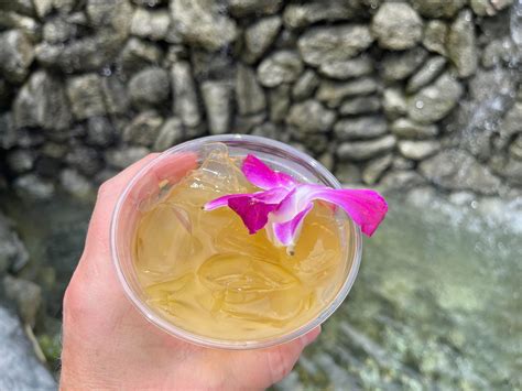 1st Edition Piranha Tiki Mug Debuts With Two Drinks At Trader Sams