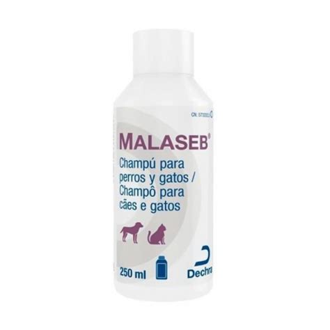 Malaseb Shampoo Ringworm Cats At Diane Godsey Blog