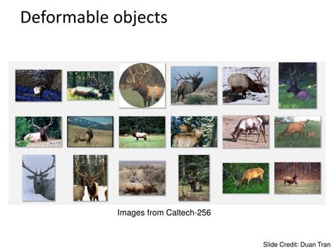 Ppt Pictorial Structures And Distance Transforms Powerpoint