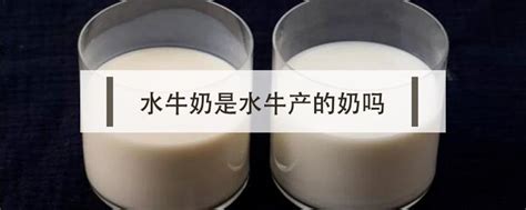360精选 用户贴心的智能摘要