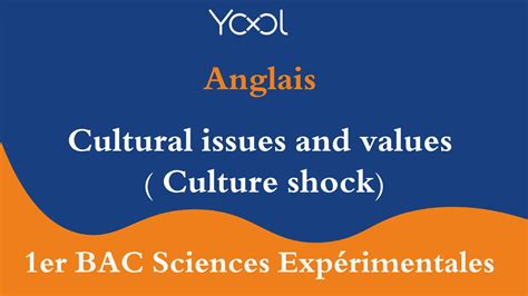 Yool Library Cultural Issues And Values Culture Shock