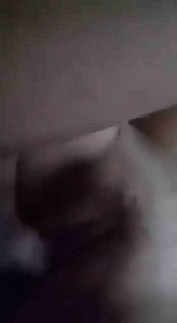 Brother Fuck Sex Younger Step Sister With Romane Eporner