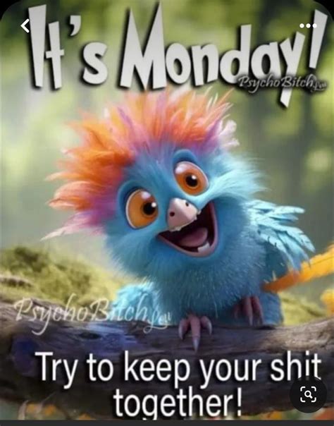 99 Funny Monday Images 😂 Good Morning Happy Monday Funny Good