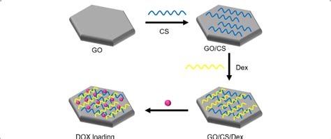 Schematic Illustration Of Synthesis Of Graphene Oxide Go Nanosheets Download Scientific