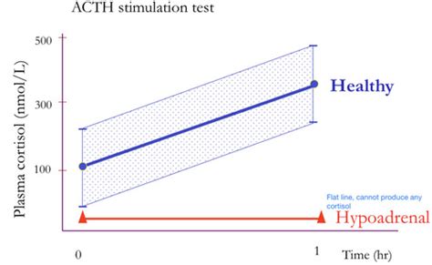 Endo 2 Hypoadrenocorticism Flashcards Quizlet