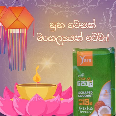 වෙසක් ආසිරි 🙏 වෙසක් කූඩු පහන් කූඩු තොරණ දන්සැල් මේ හැමදේම ශ්‍රී