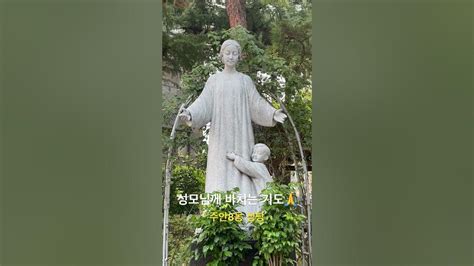 성모님께 바치는 기도🙏 Youtube