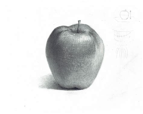 Фрукты карандашом - 38 фото