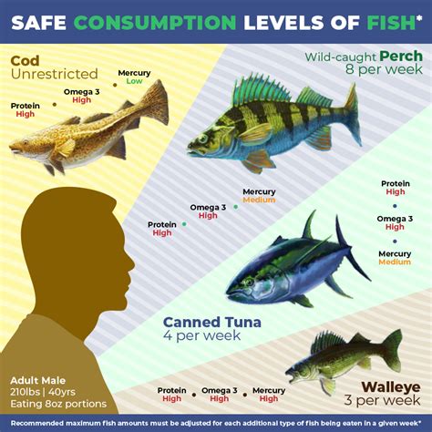 Fish Consumption Advisory In Anishinaabe Communities Project Wonder