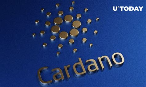 Cardano Outperforms Ethereum In Recent Crypto Development Activity