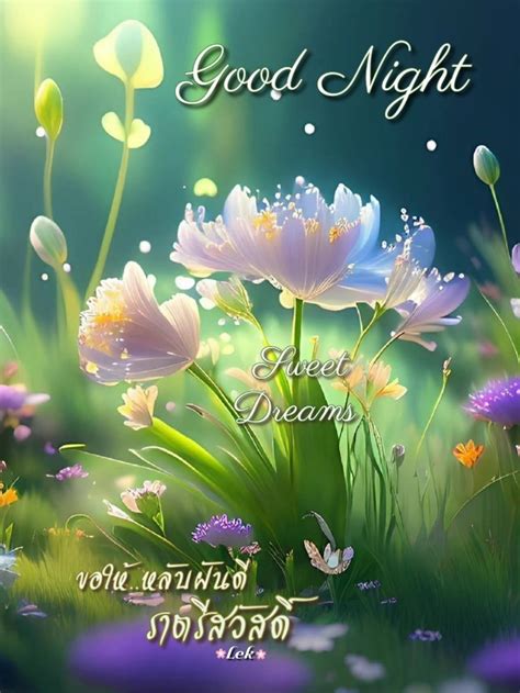 Good Night Sweet Dream S ราตรีสวัสดิ์
