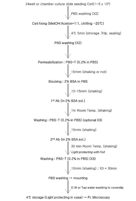 Two Color Immunocytochemistry Staining 2 Color Icc 염색 Rapid Simple Methods 입니다