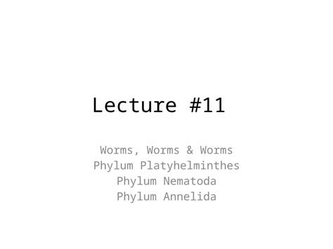 Pptx Lecture 11 Worms Worms And Worms Phylum Platyhelminthes Phylum